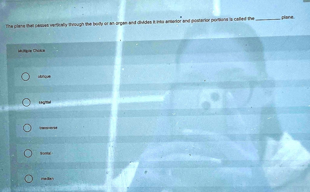 the plane that passes vertically through the body or an organ and ...