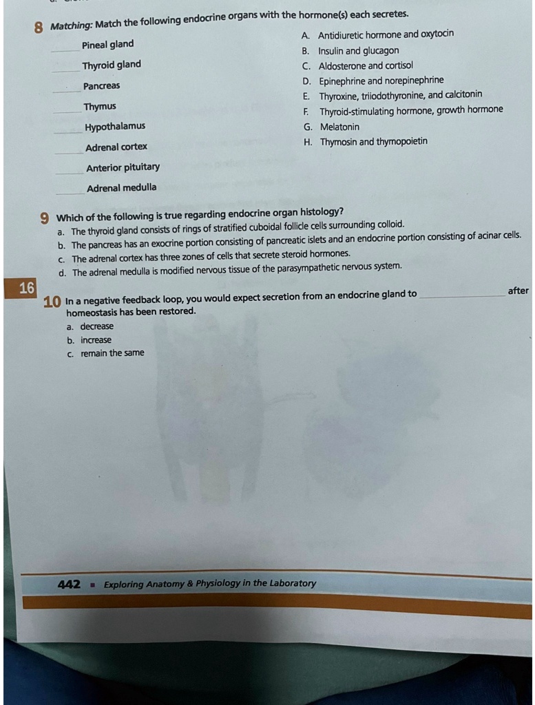 8 Matching: Match the following endocrine organs with the hormone(s ...