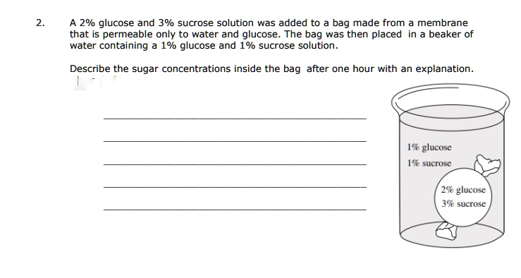 SOLVED: A 2% glucose and % sucrose solution was dded to bag made from ...