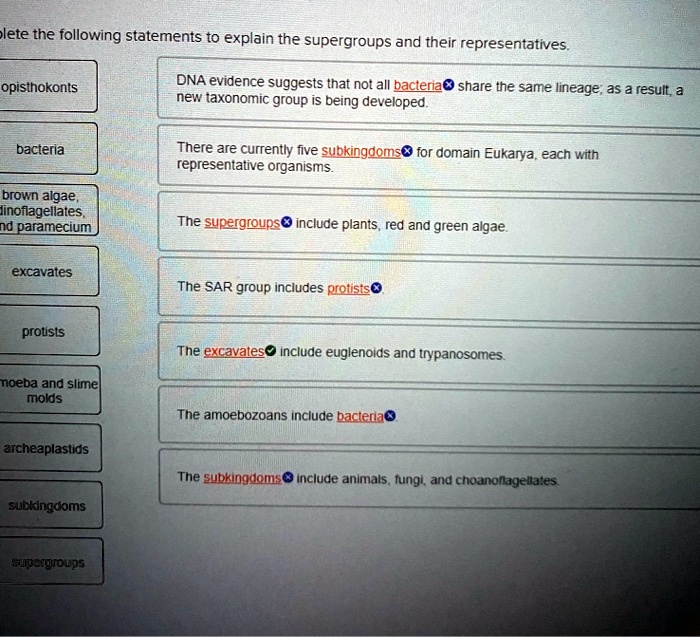 SOLVED: Let the following statements explain the supergroups and their ...