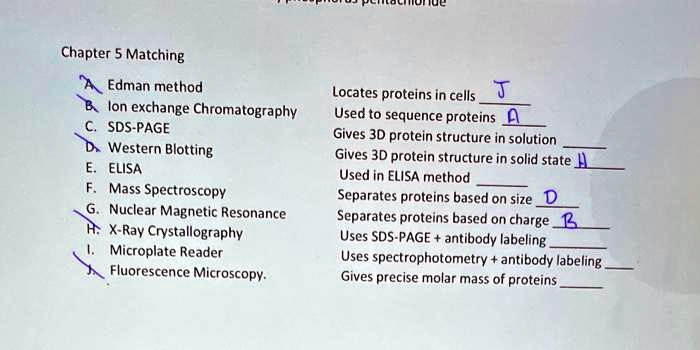 SOLVED: Chapter 5: Protein Analysis Techniques A. Edman method B. Ion exchange Chromatography C ...