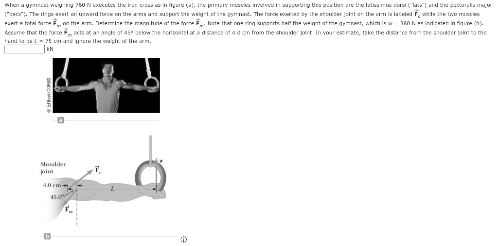 SOLVED: When a gymnast weighing 760 executes the iron cross figure (2 ...