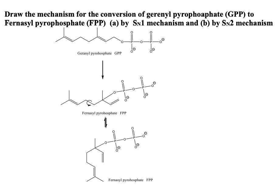 SOLVED:Draw the mechanism for the conversion of gerenyl pyrophoaphate ...