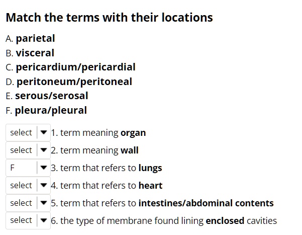 A. parietal B. visceral F. pleura/pleural D. pericardium/pericardial E ...