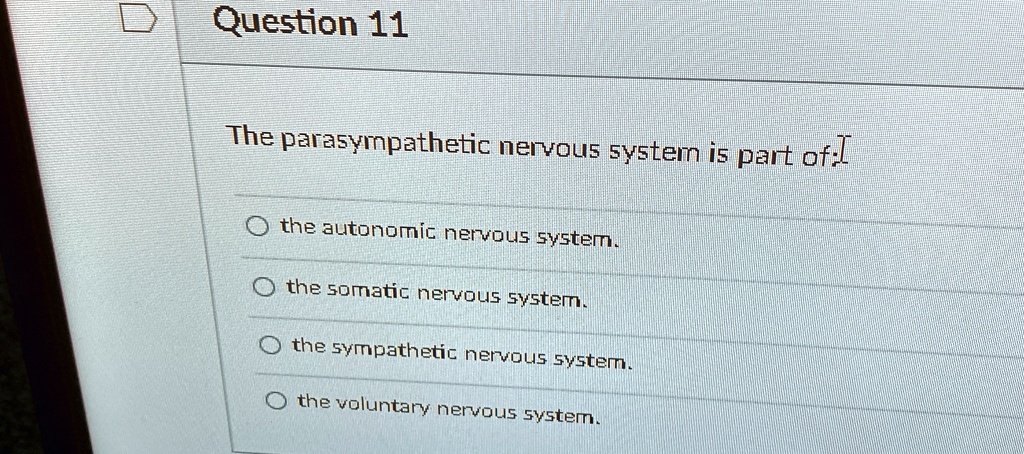 question 11 the parasympathetic nervous system is part of the autonomic ...