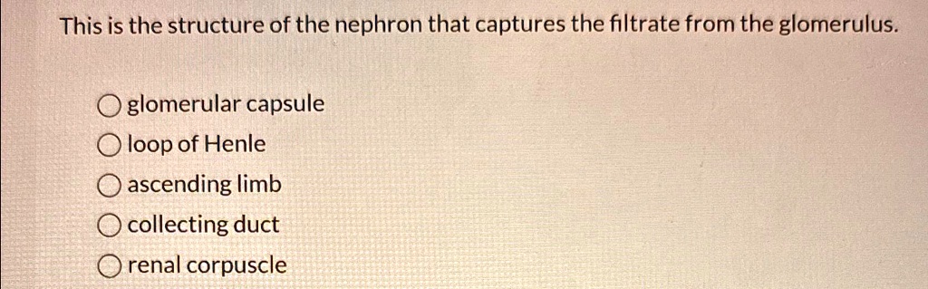SOLVED: This is the structure of the nephron that captures the filtrate ...
