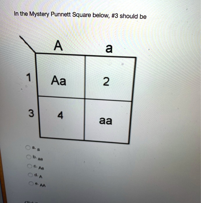 SOLVED: In the Mystery Punnett Square below; #3 should be A a Aa 2 3 aa