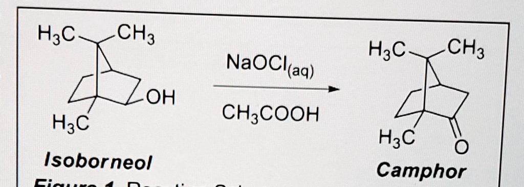 NaOCl(aq) CH3COOH Isoborneol Camphor