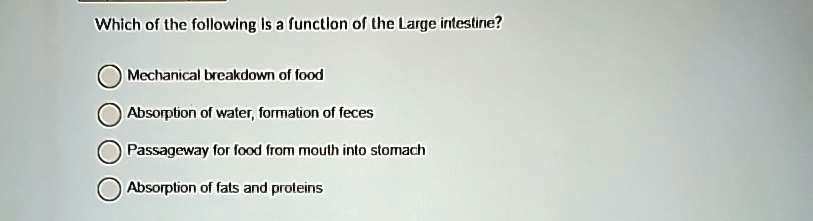 Which of the following is a function of the Large intestine? Mechanical ...