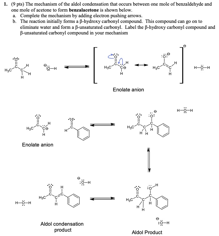 VIDEO solution: Texts: 1. 9 pts The mechanism of the aldol condensation ...