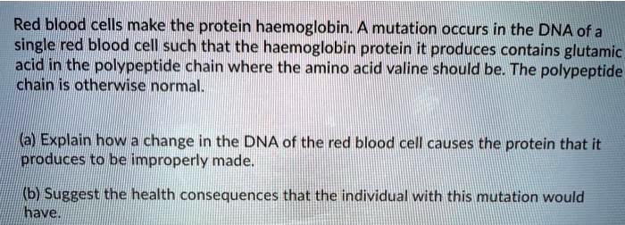 SOLVED:Red blood cells make the protein haemoglobin A mutation occurs ...