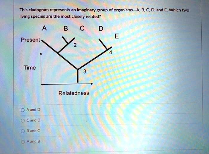 This cladogram represents an imaginary group of organisms-A, B, C, D ...