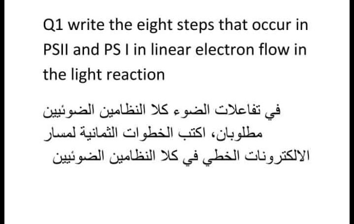 SOLVED: Q1 write the eight steps that occur in PSII and PS I in linear ...