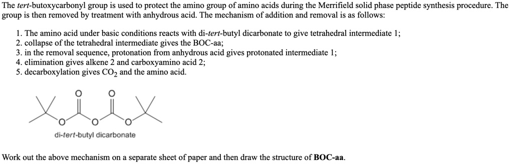 the tert butoxycarbonyl group is used to protect the amino group of ...