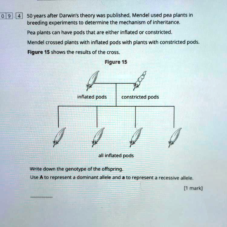 50 years after Darwin's theory was published, Mendel used pea plants in ...