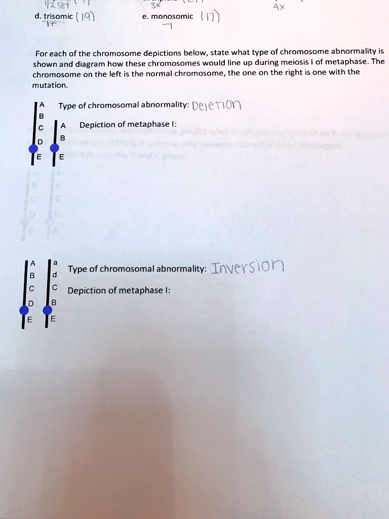 1z set d trisomic iq 3x e monosomic 17 for each of the chromosome ...