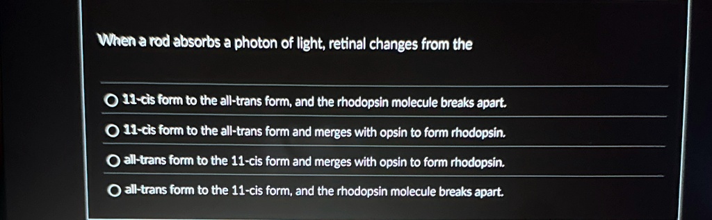 when a rod absorbs a photon of light retinal changes from the 11 cis ...