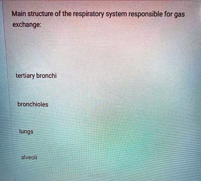 SOLVED: Main structure of the respiratory system responsible for gas ...