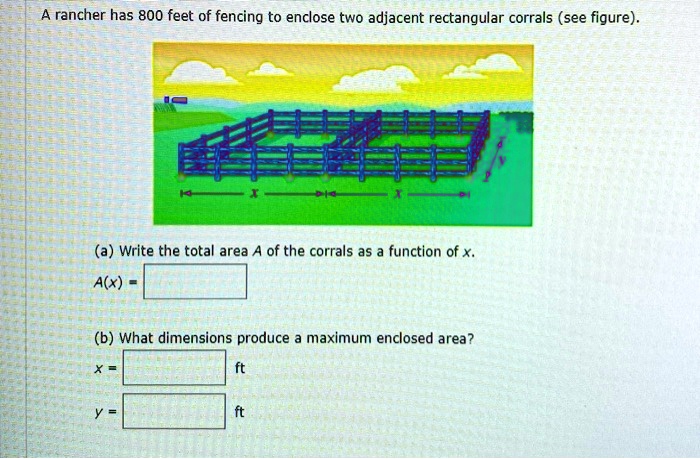a rancher has 800 feet of fencing to enclose two adjacent rectangular ...