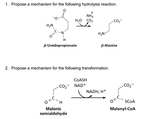 SOLVED: Propose a mechanism for the following hydrolysis reaction: NH3 ...