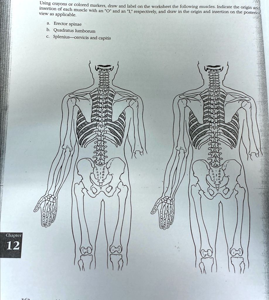 Using crayons or colored markers, draw and label on the worksheet the ...
