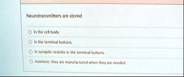 neurotransmitters are stored in the cell body in the terminal buttons ...