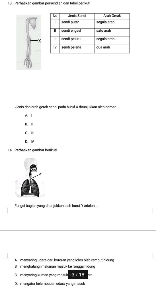 SOLVED: tolong di jawab dengan teliti dan benar besok di kumpulan ... SOLVED: tolong di jawab dengan teliti dan benar besok di kumpulan ...