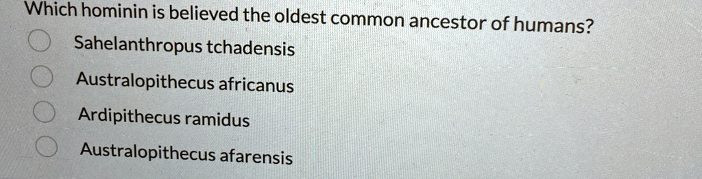 Which hominin is believed the oldest common ancestor of humans ...