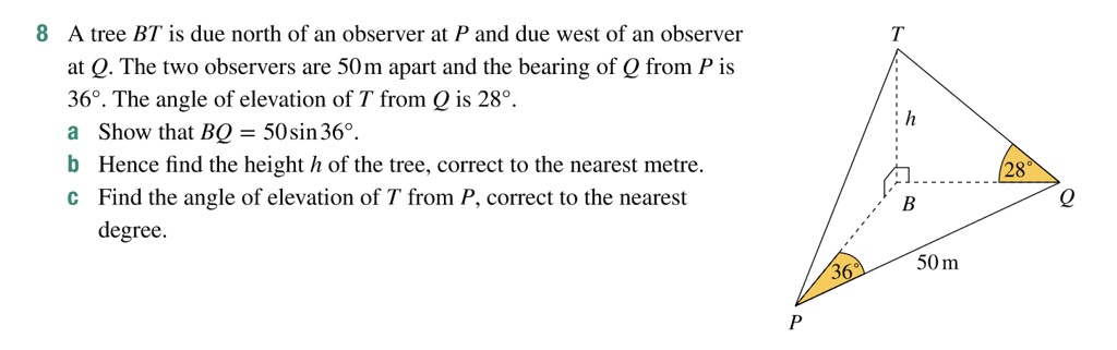Please show working out. A tree BT is due north of an observer at P and ...