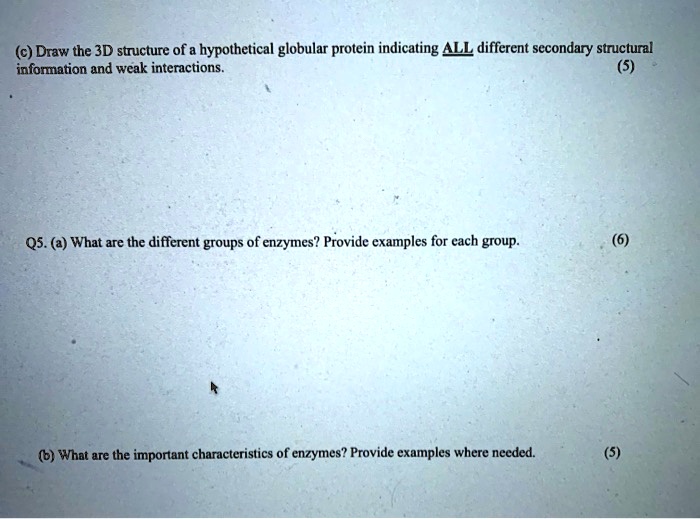 (c) Draw the 3D structure of a hypothetical globular protein...
