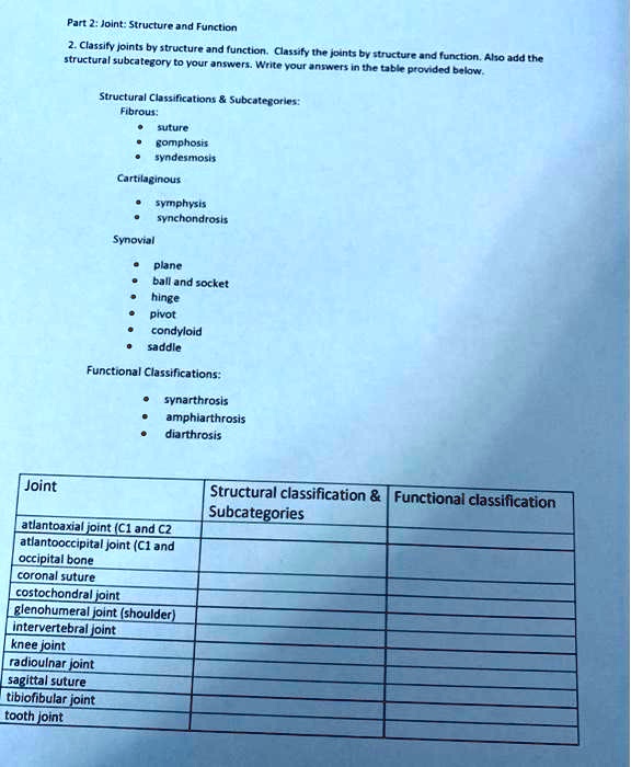 Solved Part 2 Joint Structure And Function 2 Classify Joints By Structure And Function