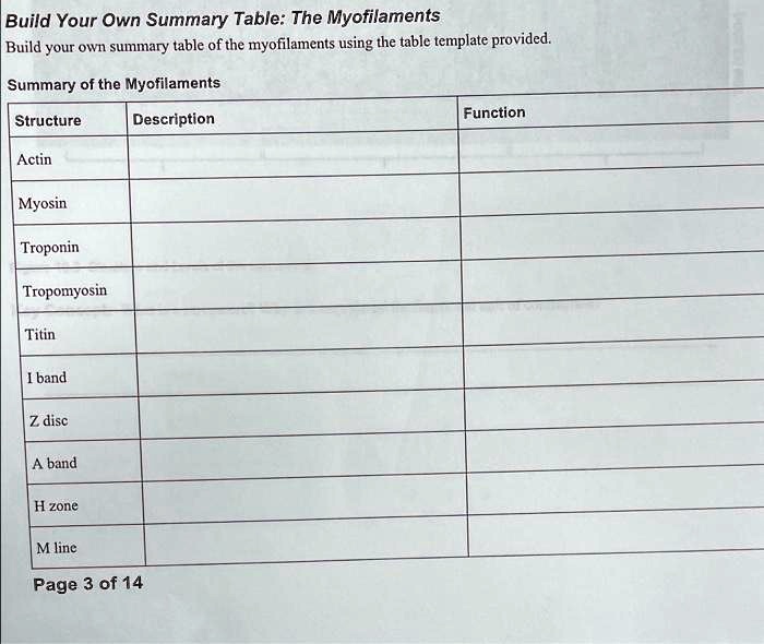 Build Your Own Summary Table: The Myofilaments Build your own summary ...
