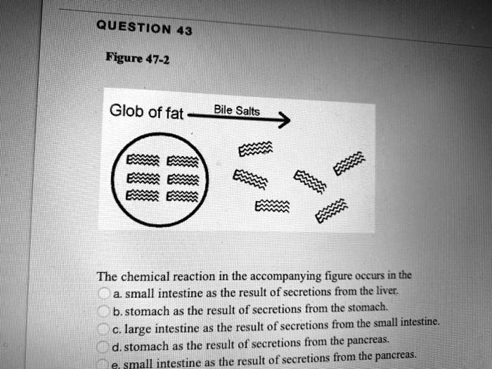 SOLVED: Question 43 Figure 47-2 Glob of fat Bile Salts EE 6 The ...