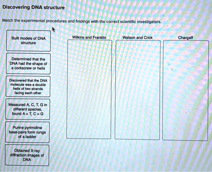 SOLVED: Discovering DNA structure Match the experimental procedures and ...