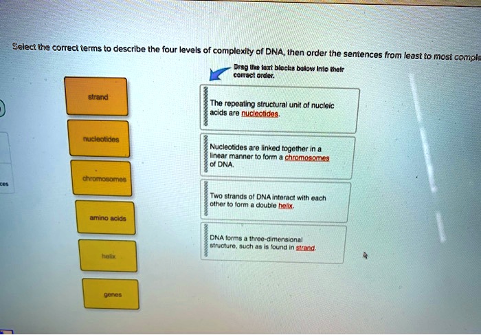 SOLVED: Seled the correct terms describe the four levels of complexity ...