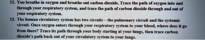 SOLVED: You breathe in oxygen and breathe out carbon dioxide Trace the ...