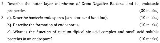 2. Describe the outer layer membrane of Gram-Negative Bacteria and its ...