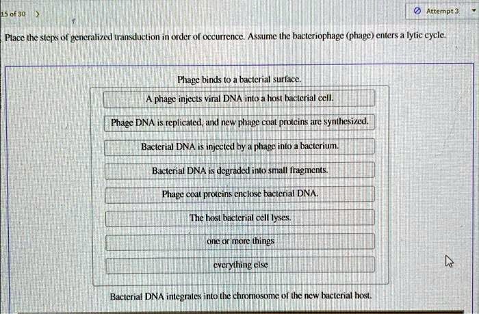 SOLVED: Texts: use all of the answer choices 5 of 30 Attempt 3 Place ...