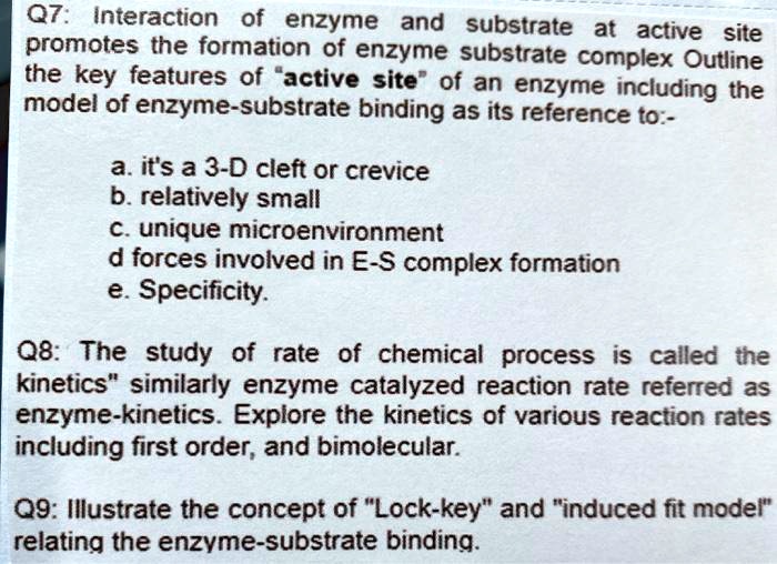 SOLVED: 07: Interaction of enzyme and substrate at active site promotes ...