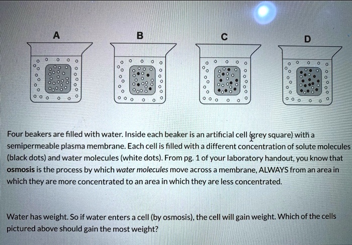 SOLVED: Four beakers are filled with water. Inside each beaker is an ...