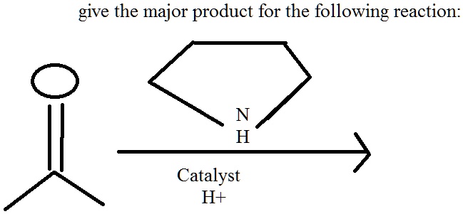 SOLVED:give the major product for the following reaction: N H Catalyst H+