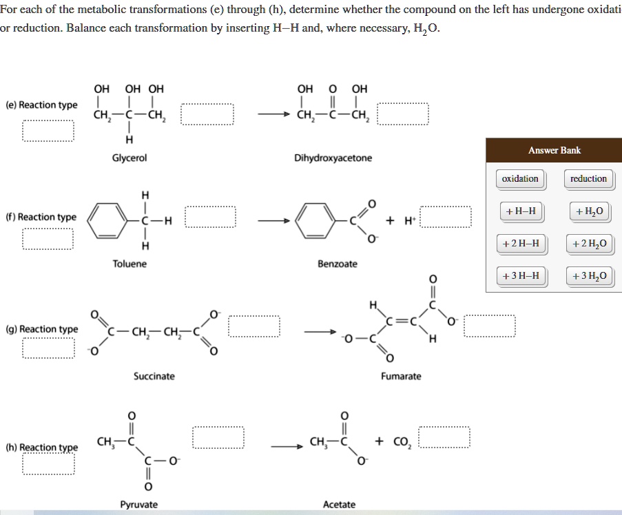 For each of the metabolic transformations (e) through (h), determine ...