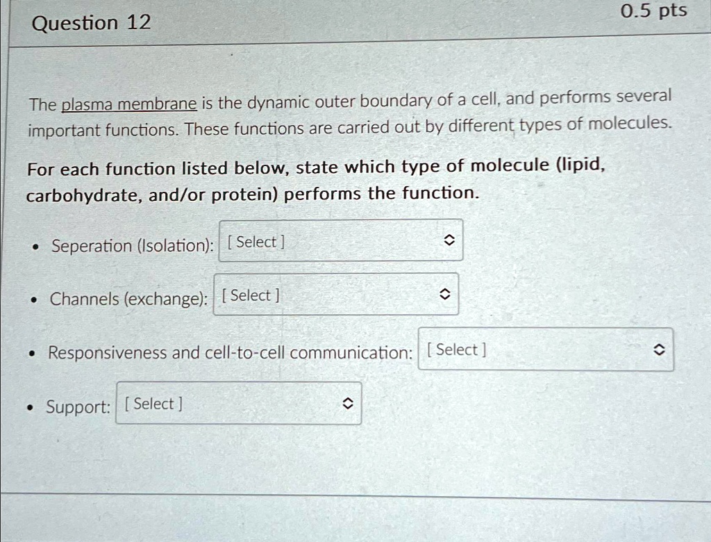 Question 12 0.5 pts The plasma membrane is the dynamic outer boundary ...