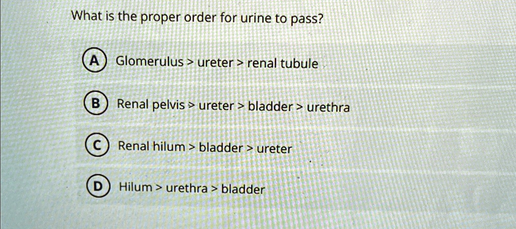 What is the proper order for urine to pass? A Glomerulus > ureter ...