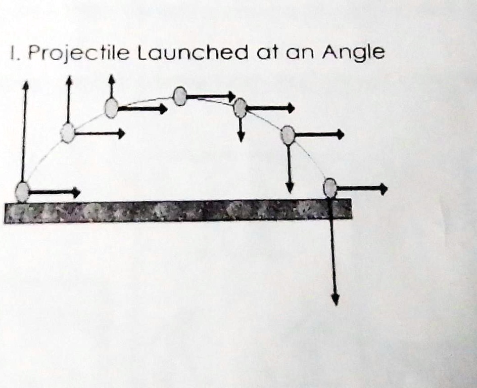 Test III. 38-40. Labeling Directions: Label the illustration below ...