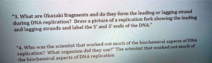 3what are okazaki fragments and do they form the leading or lagging ...