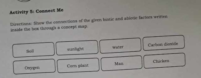 SOLVED: Activity 5: Connect Me Directions: Show the connections of the ...