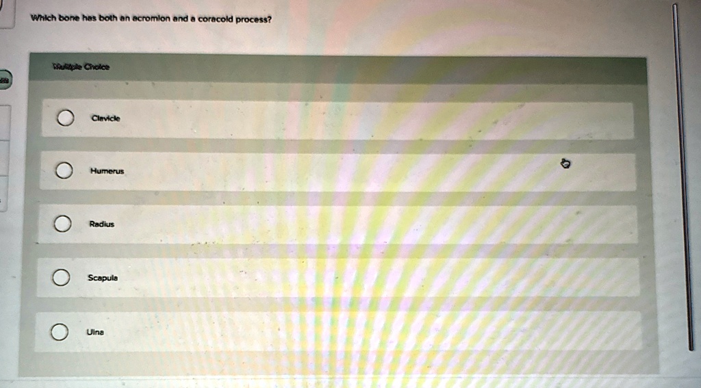 Which bone has both an acromion and a coracold process? Multiple Choice ...