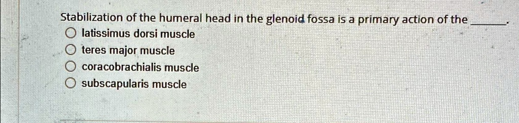 Stabilization of the humeral head in the glenoid fossa is a primary ...