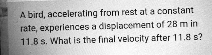 SOLVED: A bird, accelerating from rest at a constant rate, experiences a displacement of 28 m in ...